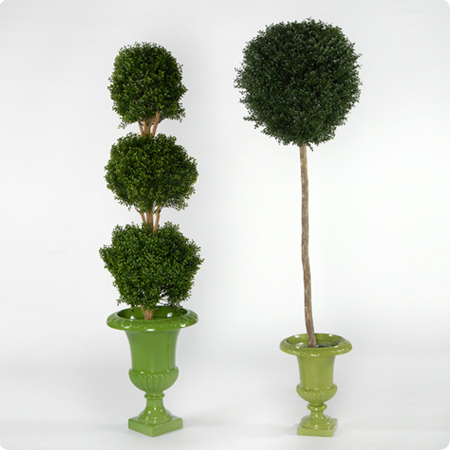 Boxwood Topiaries - Swift + Company