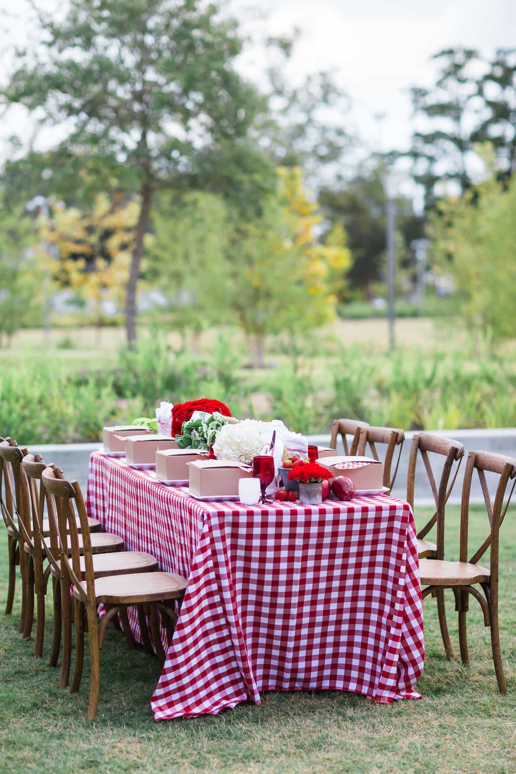 ELEVATED SUMMER PICNIC AT THE PARK - Swift + Company